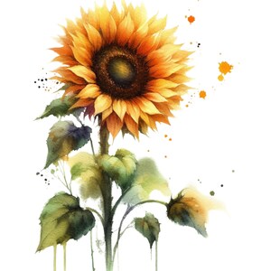 Sunflower Png File, Painted Watercolor Sunflower Svg File, Png for ...
