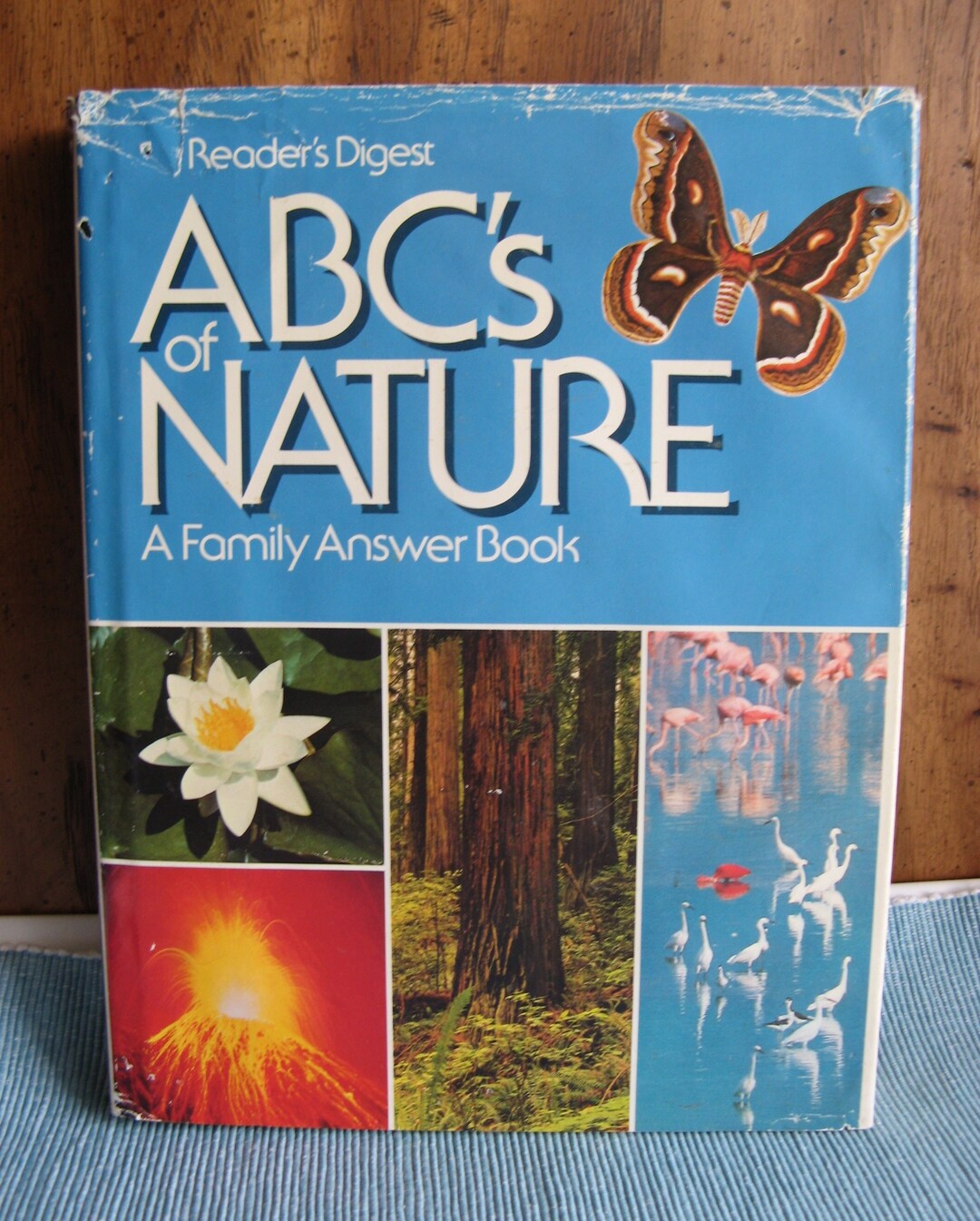 Reader's Digest the Abcs of NATURE: A Family Answer Book, Hardcover - Etsy
