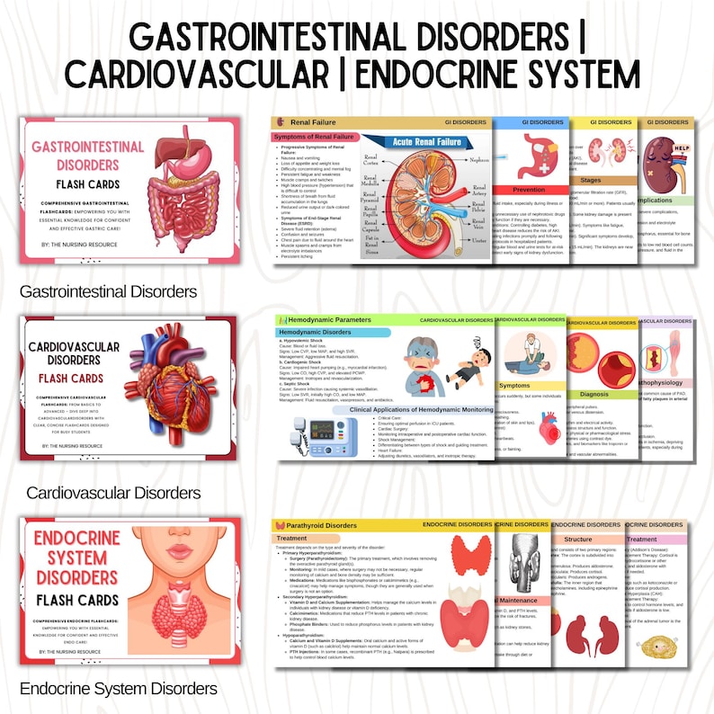 Medical Surgical Flashcards Bundle | Med Surg Notes | Nursing Study ...