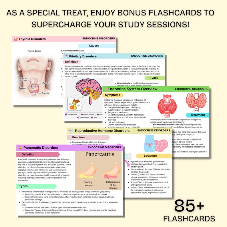 Endocrine Notes | Endocrine System Disorders | Nursing Bundle | PDF - Etsy