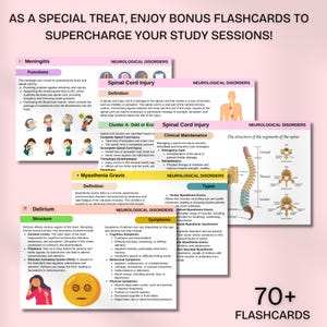 Neurology Study Guide | Neuro Anatomy | Neurological System | Brain ...