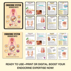 Endocrine Notes | Endocrine System Disorders | Nursing Bundle | PDF - Etsy