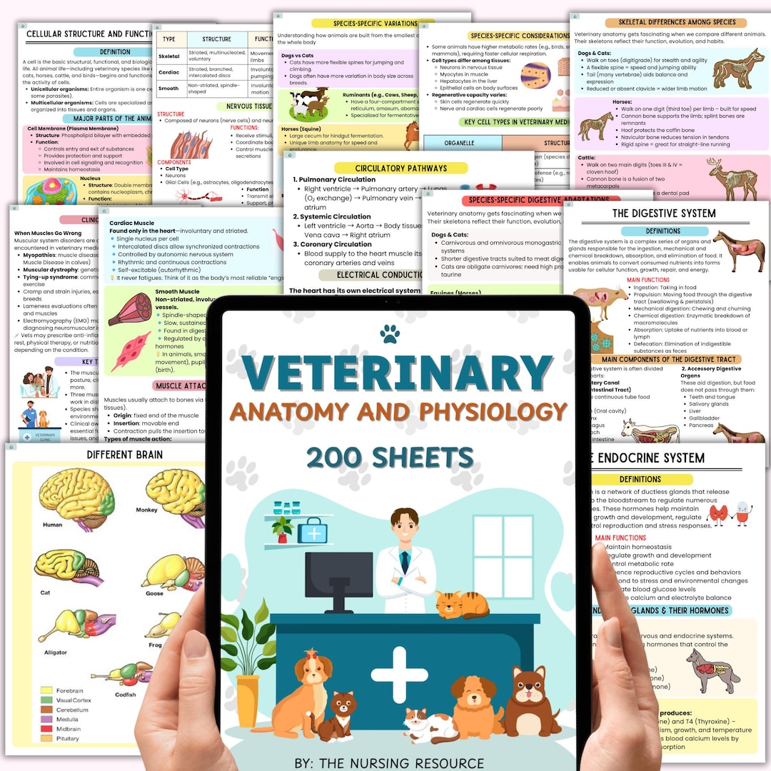 Veterinary Anatomy & Physiology Study Sheets | Veterinary Nurse ...
