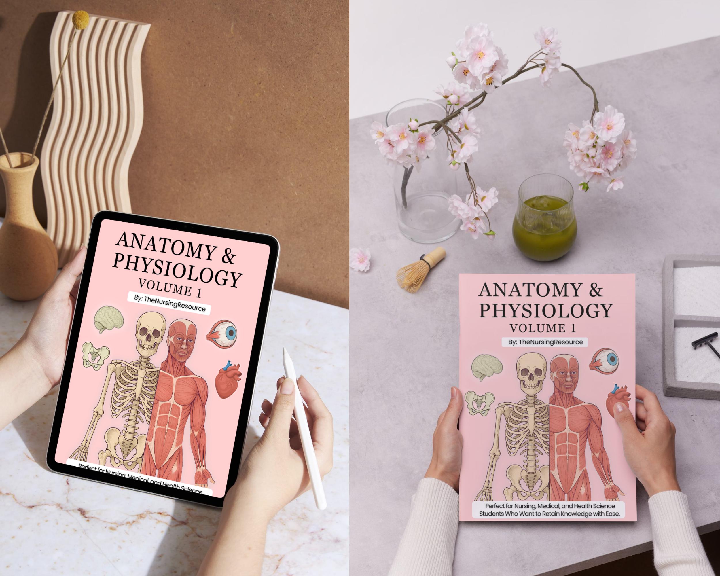 Anatomy and Physiology 1 Study Guide | A and P Study Guide | Human ...