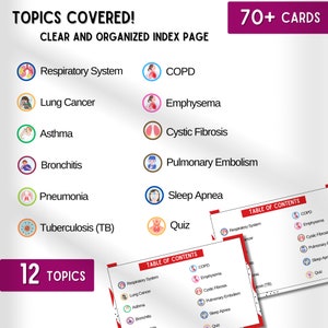 Respiratory System Flashcards | Respiratory Therapy Notes | Nursing ...