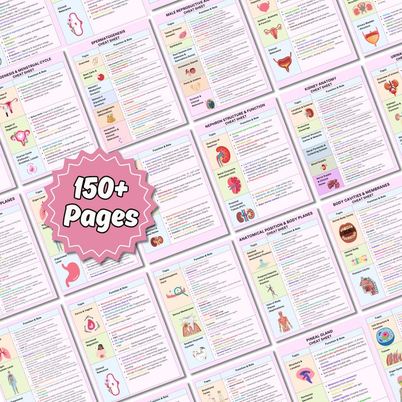 Anatomy and Physiology Cheat Sheet | Human Anatomy Study | Anatomy ...
