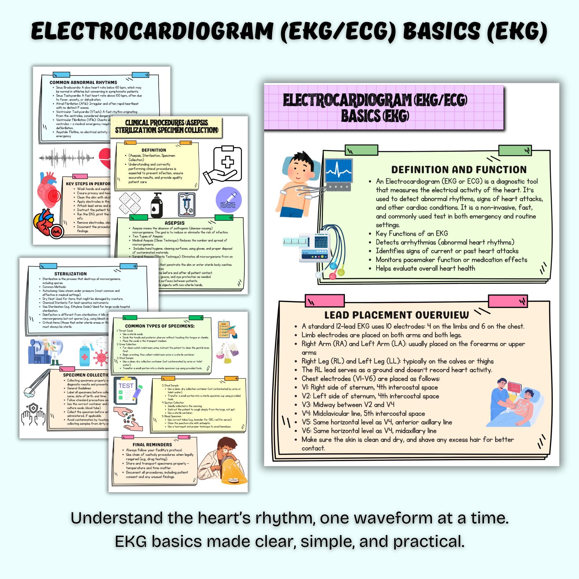 Medical Assistant Notes & Cheat Sheet Bundle | Nursing Notes | Digital ...