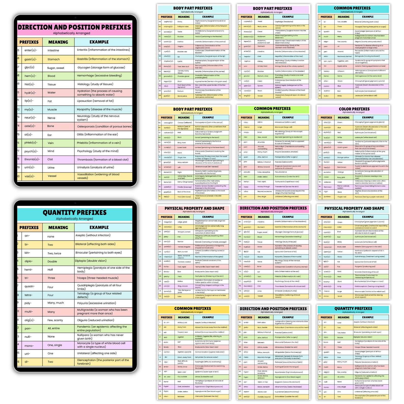 Medical Terminology Study Guide | Medical Terminology Prefixes ...