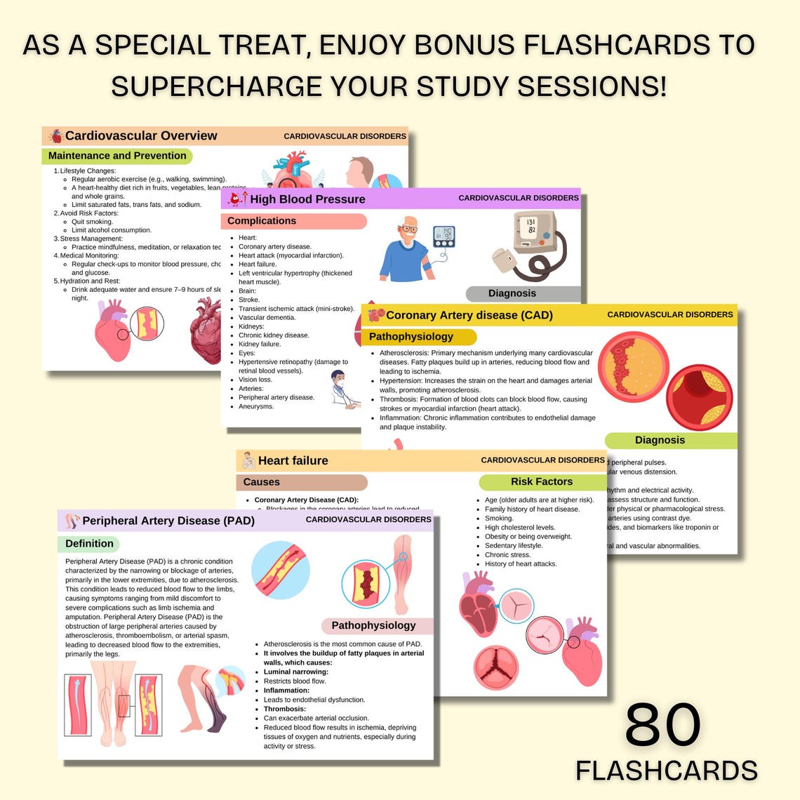 Cardiovascular System Notes | Cardiology Study Guide | Heart Anatomy ...