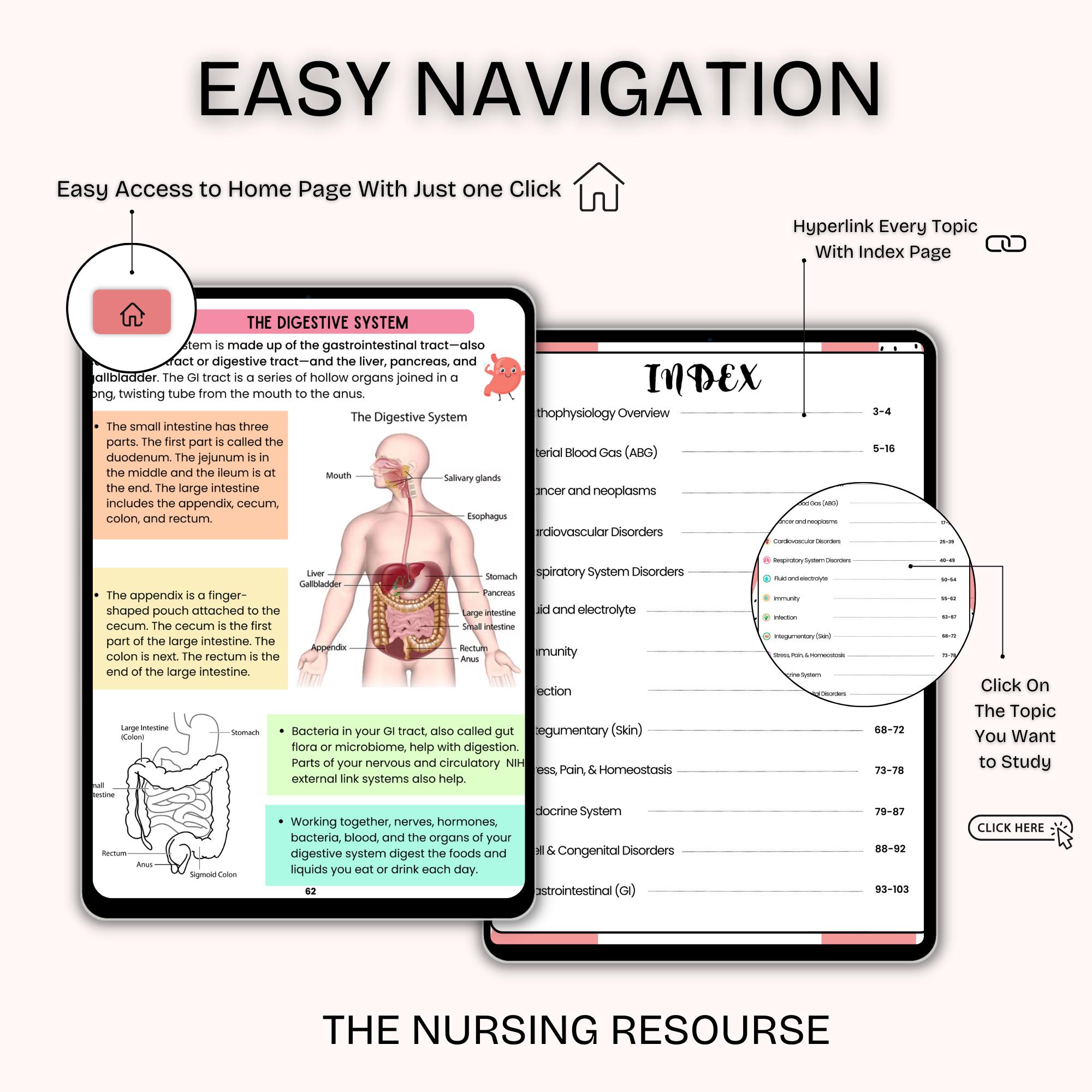 Advanced Pathophysiology Bundle | Pathophysiology Notes & Flashcards ...