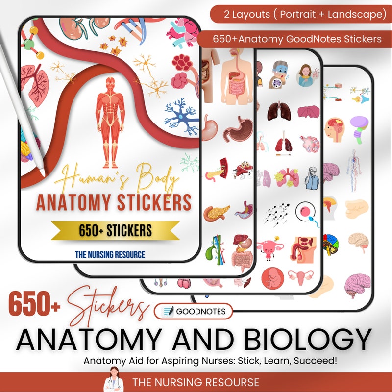 Human Body Stickers - Etsy