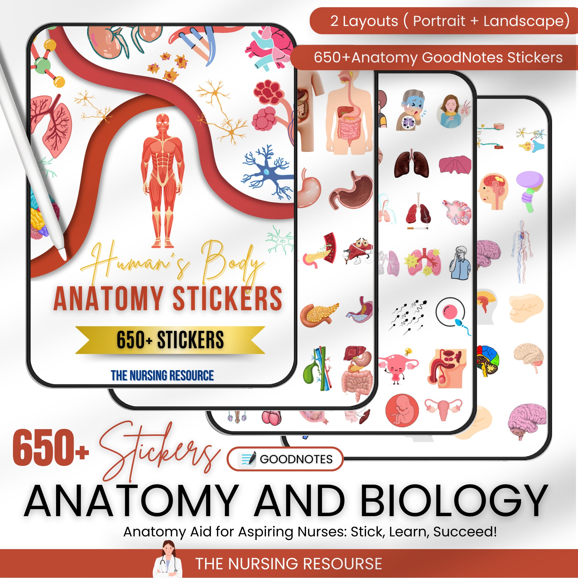 Anatomy & Biology Goodnotes Stickers | Pre-cropped Human Body Stickers ...