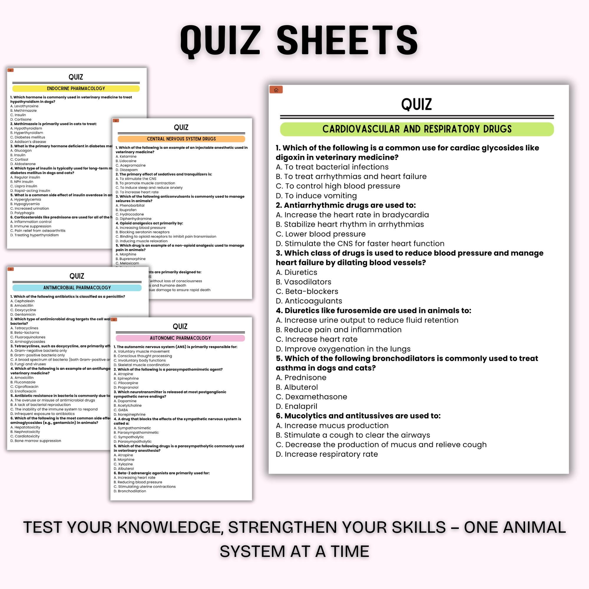 Veterinary Pharmacology Study Notes | Vet Tech Notes | Veterinary ...