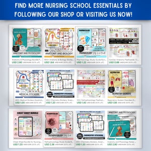 Anatomy of A Brain Flashcards | Brain Anatomy | Anatomy Notes | Nursing ...