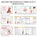 Nursing Flashcards Bundle | Nursing Study Guide | Nursing Bundle | 20 ...
