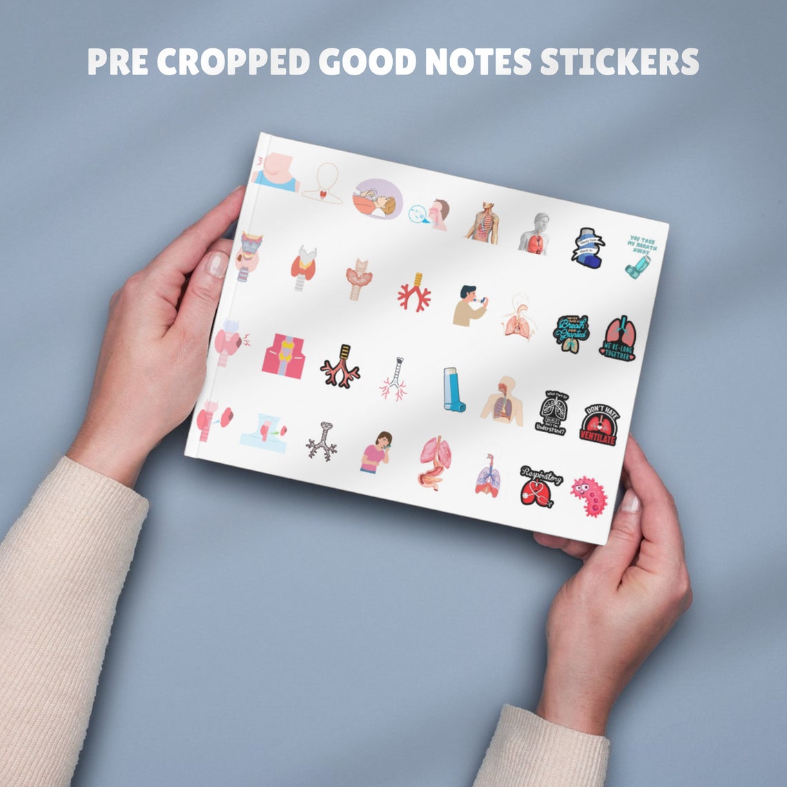 285+ Respiratory System Sticker Bundle | Goodnotes Stickers | Pre ...