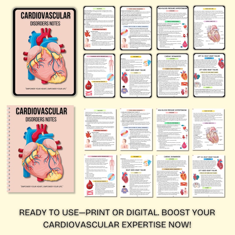 Cardiovascular System Notes | Cardiology Study Guide | Heart Anatomy ...