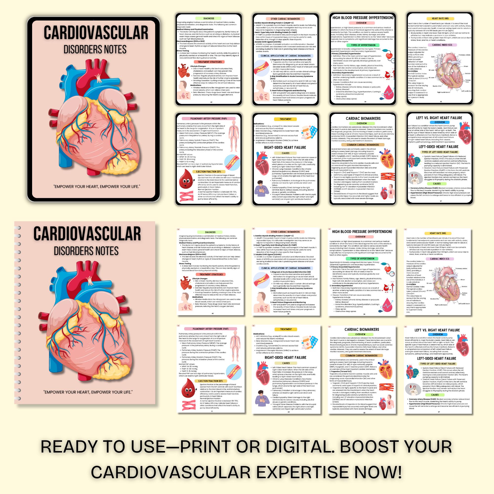 Cardiovascular System Notes | Cardiology Study Guide | Heart Anatomy ...