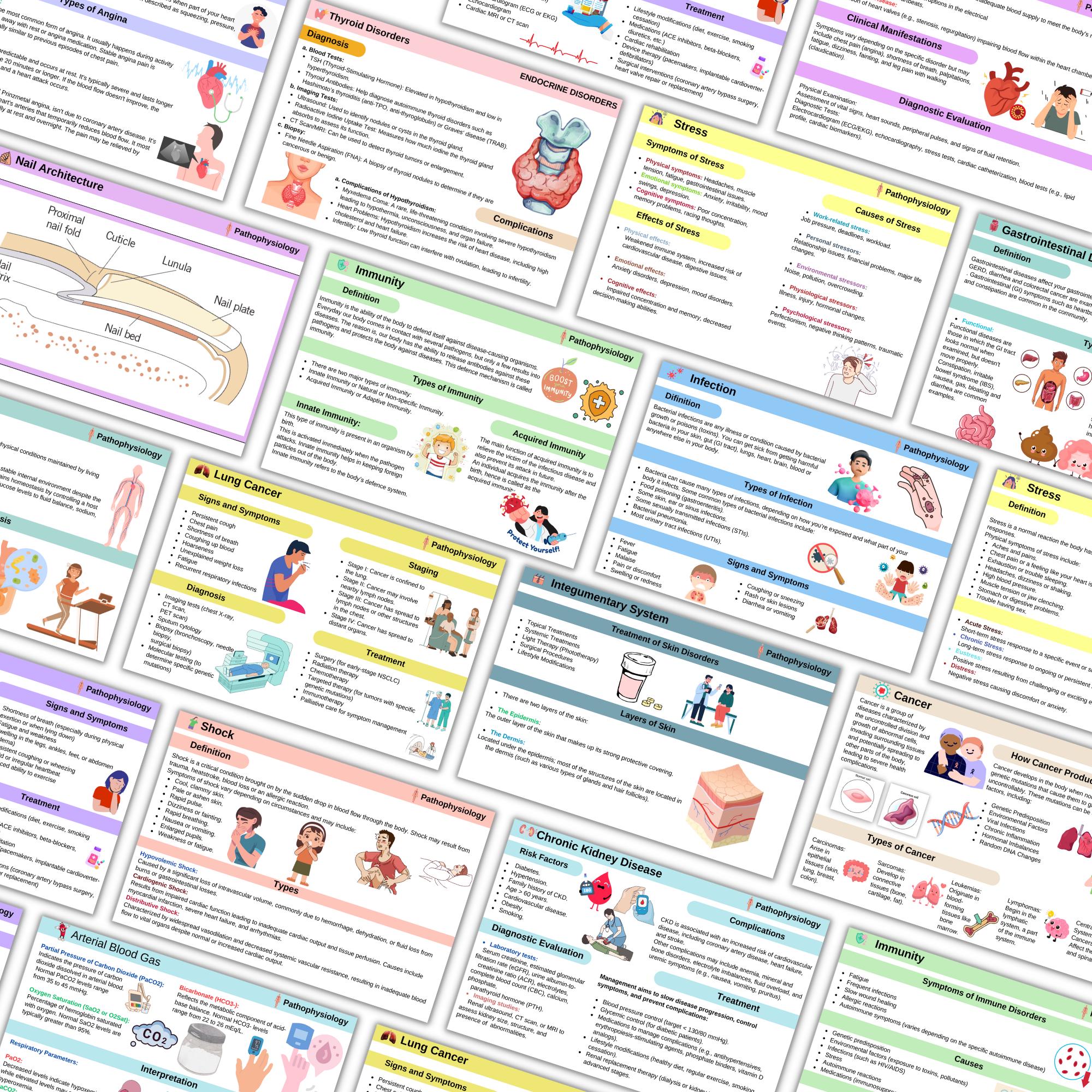 Nursing Flashcards Bundle | Nursing Study Guide | Nursing Bundle | 20 ...