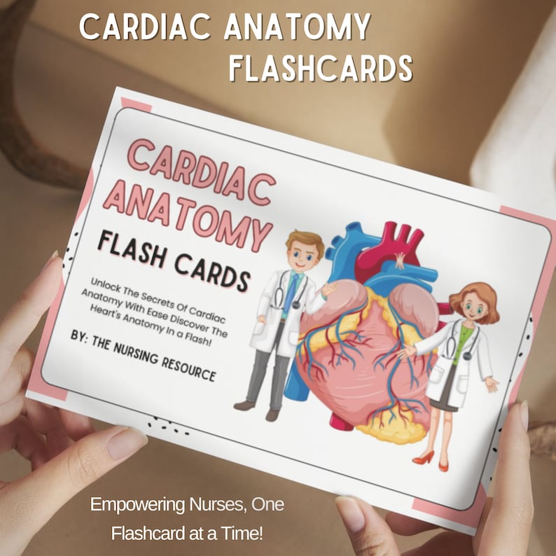 Cardiac Anatomy Flashcards | Cardiovascular System | Heart Anatomy ...