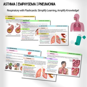 Respiratory System Flashcards | Respiratory Therapy Notes | Nursing ...