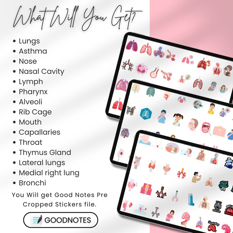 285+ Respiratory System Sticker Bundle | Goodnotes Stickers | Pre ...