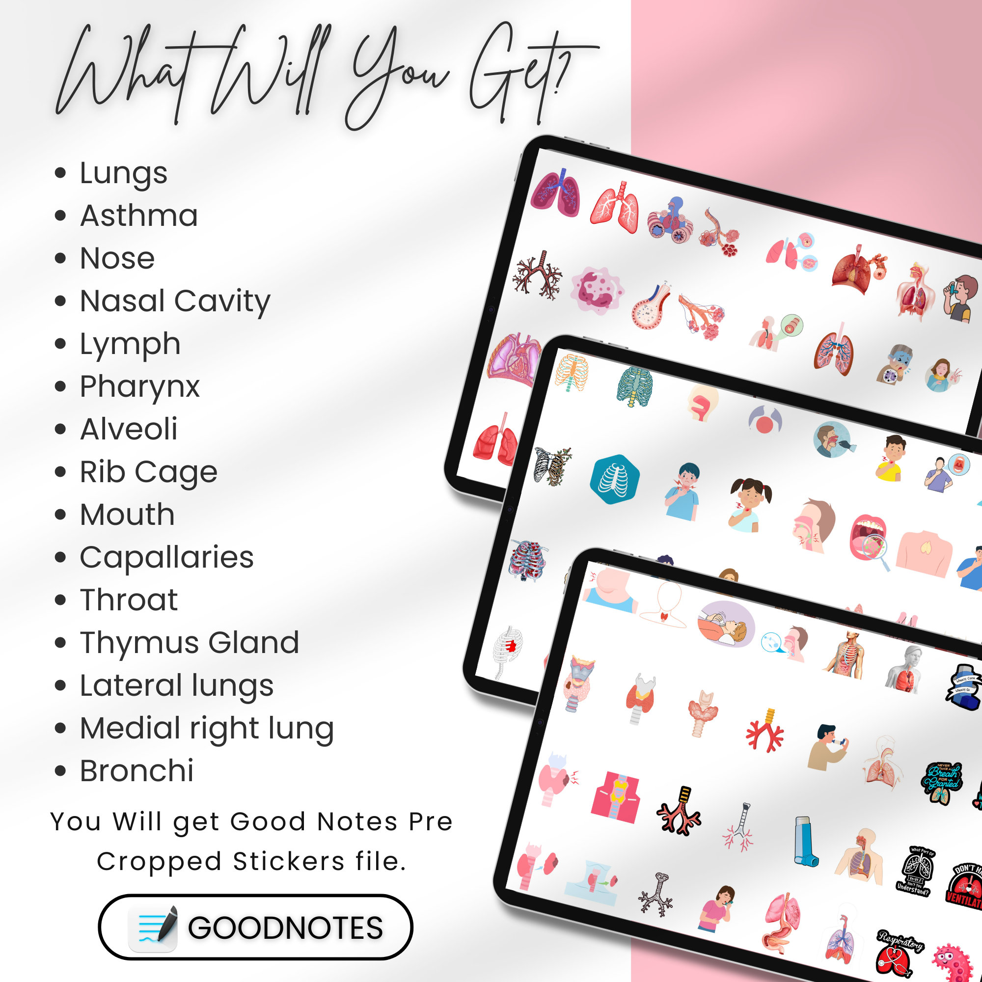 285+ Respiratory System Sticker Bundle | Goodnotes Stickers | Pre ...