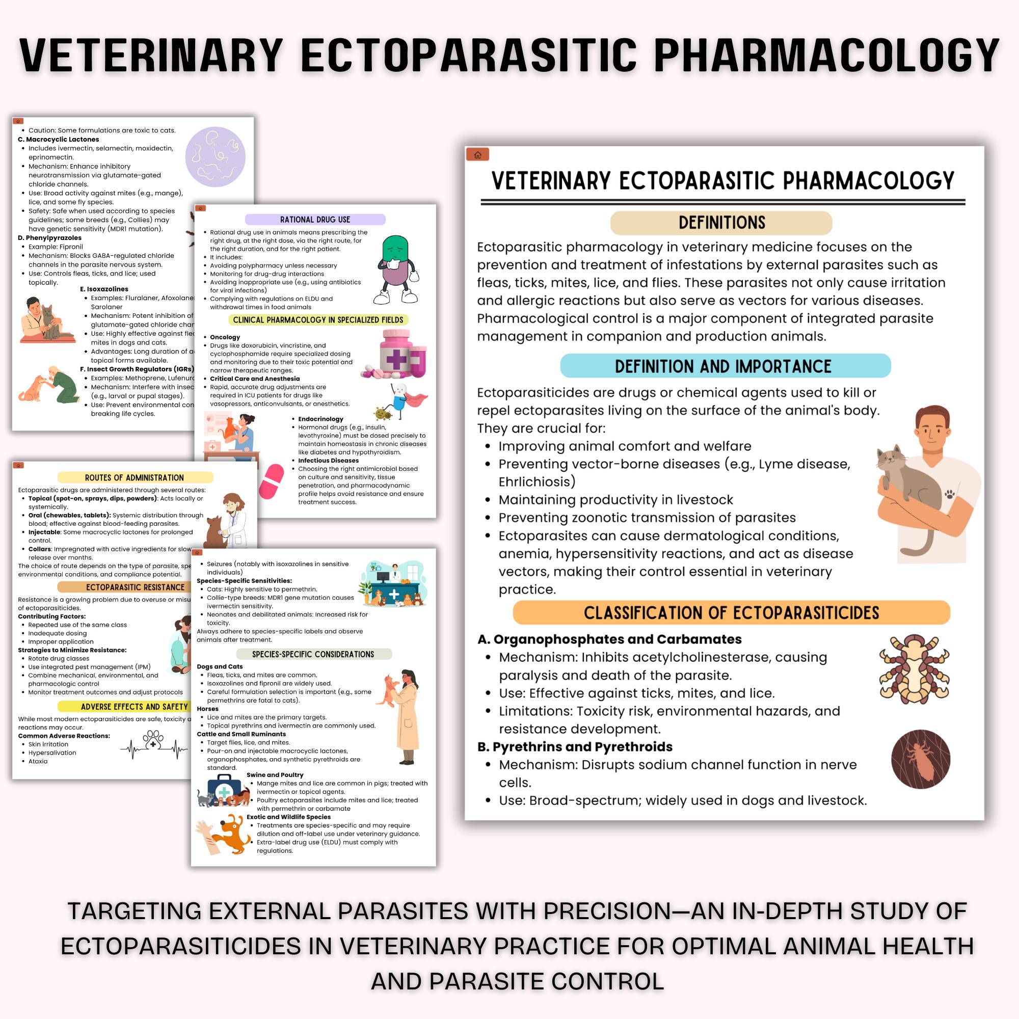 Veterinary Pharmacology Study Notes | Vet Tech Notes | Veterinary ...