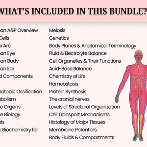 Anatomy and Physiology 1 Study Guide | A and P Study Guide | Human ...