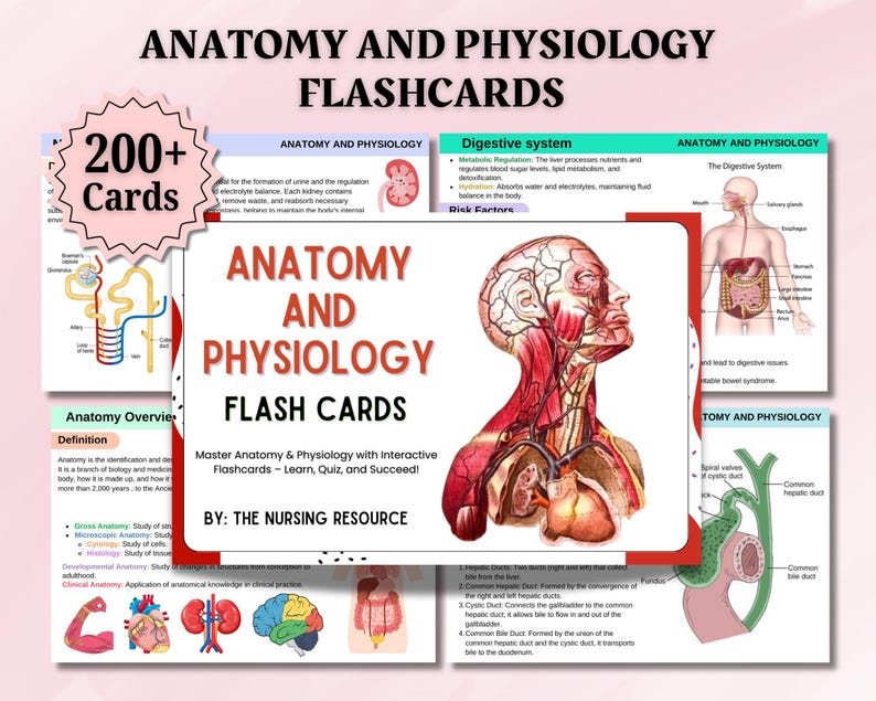 Anatomy and Physiology Notes Mega Bundle Vol 1 & 2 | Human Anatomy ...