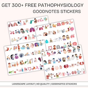 Pathophysiology Notes & Flashcards Bundle | Nursing Study Guide ...