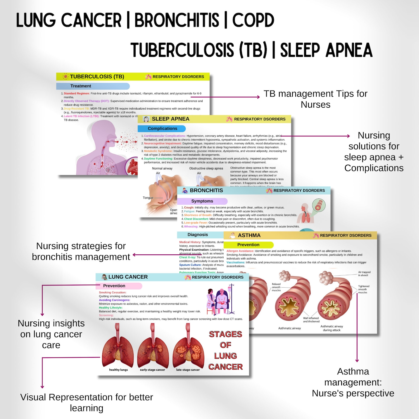 Respiratory System Flashcards | Respiratory Therapy Notes | Nursing ...