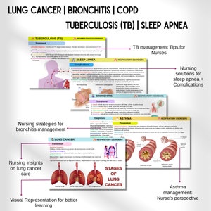 Respiratory System Flashcards | Respiratory Therapy Notes | Nursing ...