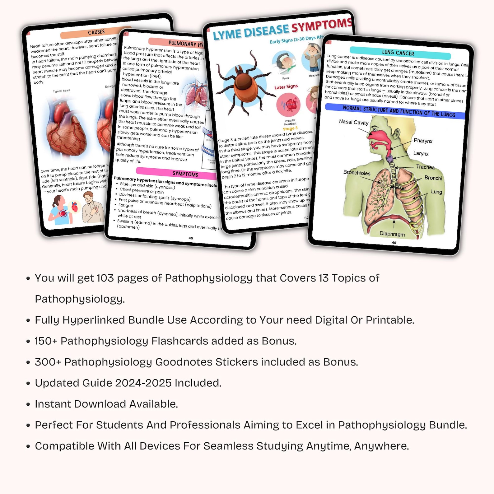 Advanced Pathophysiology Bundle | Pathophysiology Notes & Flashcards ...