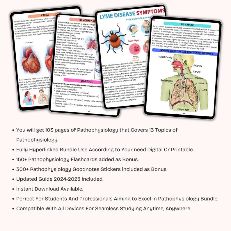 Advanced Pathophysiology Bundle | Pathophysiology Notes & Flashcards ...