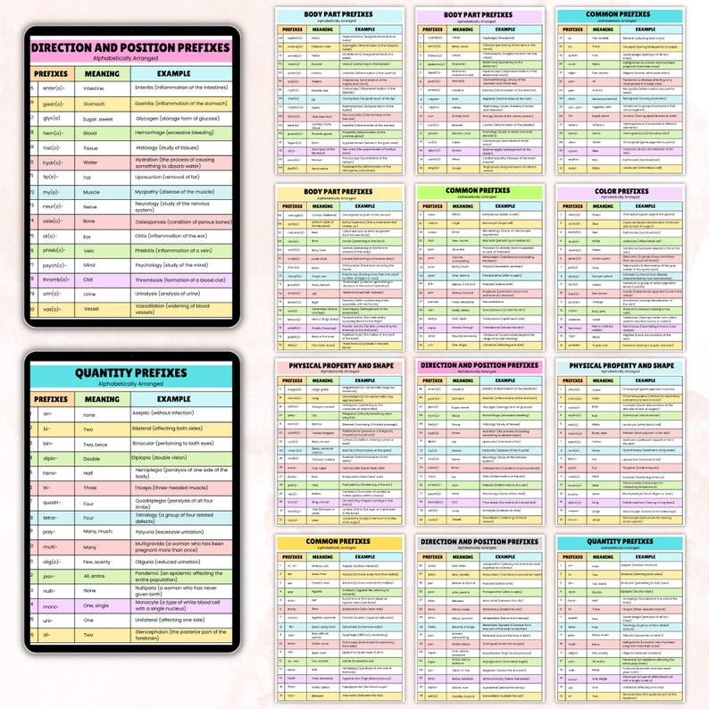 Complete Medical Terminology Prefixes and Suffixes | Study Guide ...