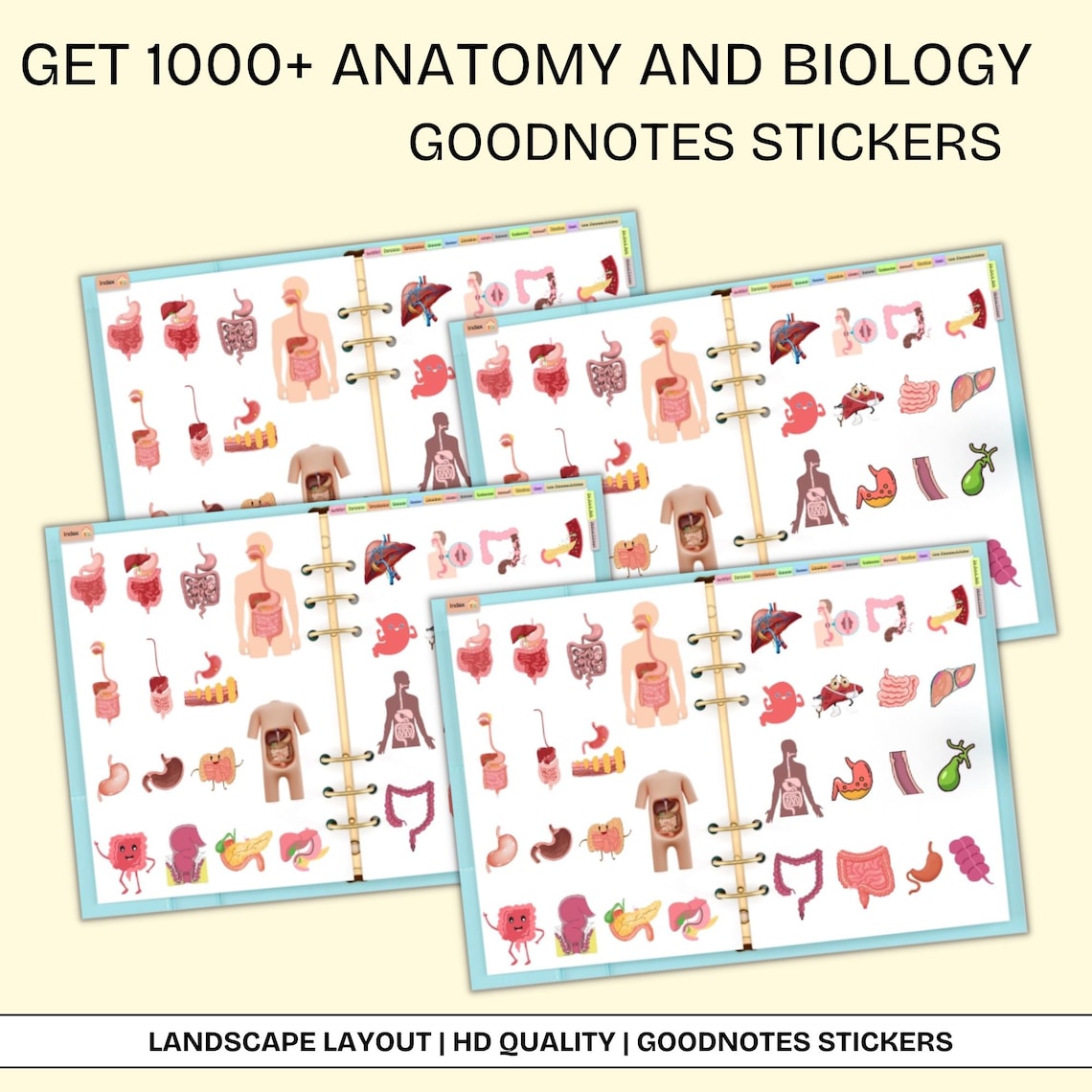 Cardiovascular System Notes | Cardiology Study Guide | Heart Anatomy ...