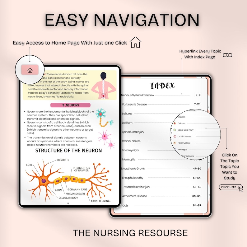 Neurology Study Guide | Neuro Anatomy | Neurological System | Brain ...