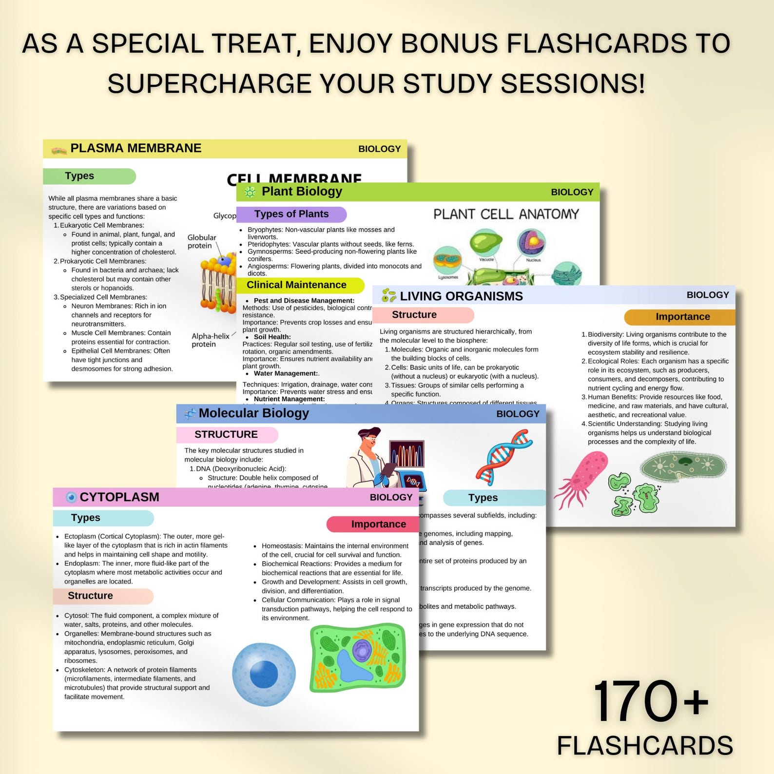 Microbiology Study Guide | Fully Hyperlinked With Flashcards and ...