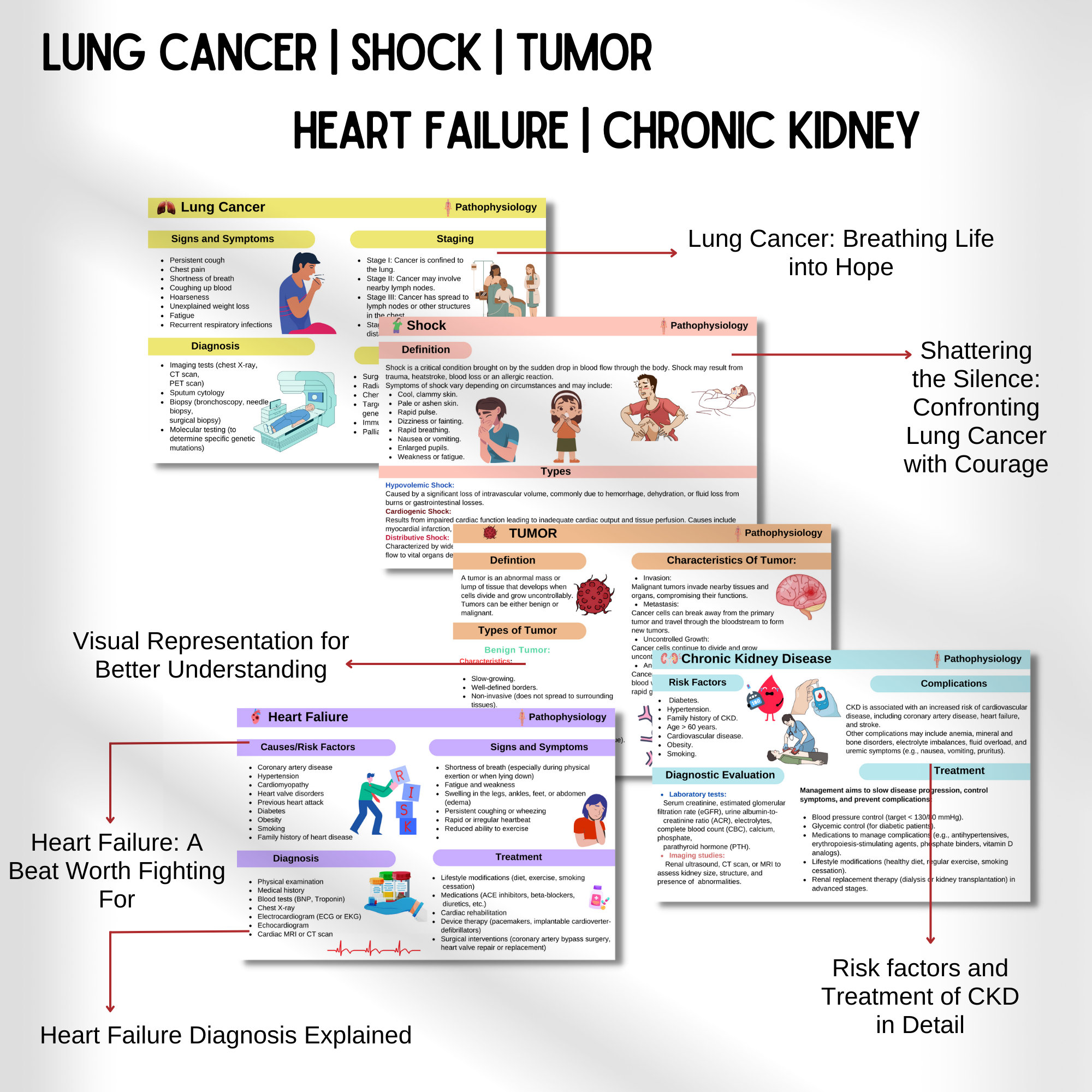 100+ Pathophysiology Flashcards | Pathophysiology Study Guide ...