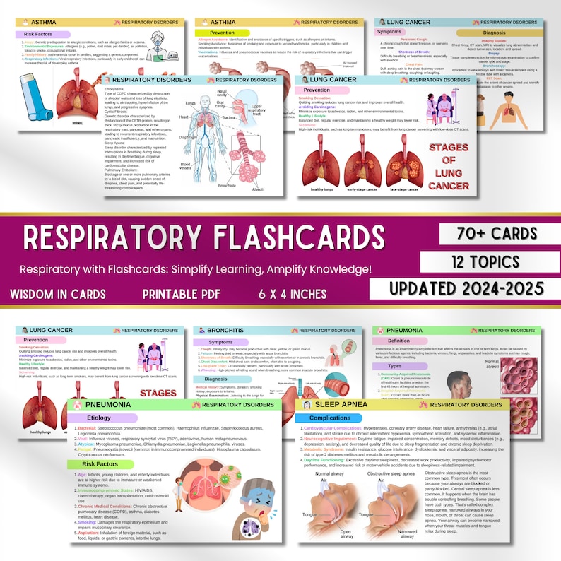 Respiratory System Flashcards | Respiratory Therapy Notes | Nursing ...