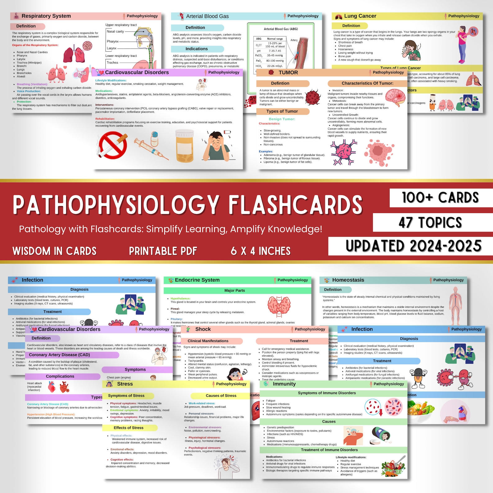 100+ Pathophysiology Flashcards | Pathophysiology Study Guide ...