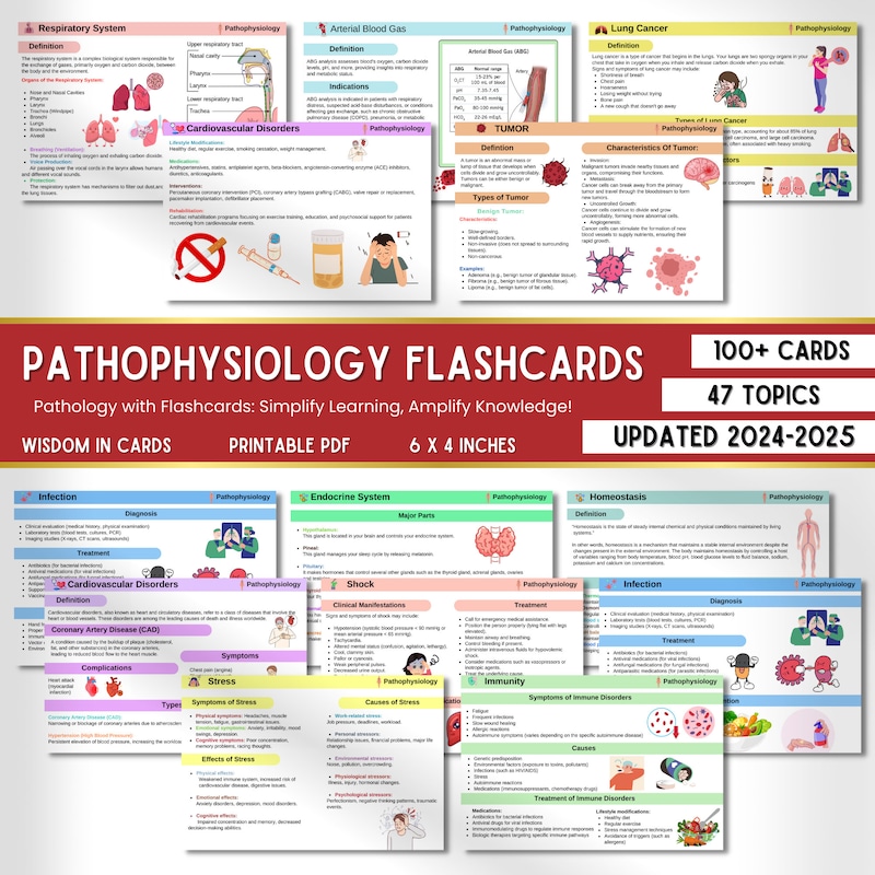 Study Notes Outline - Etsy