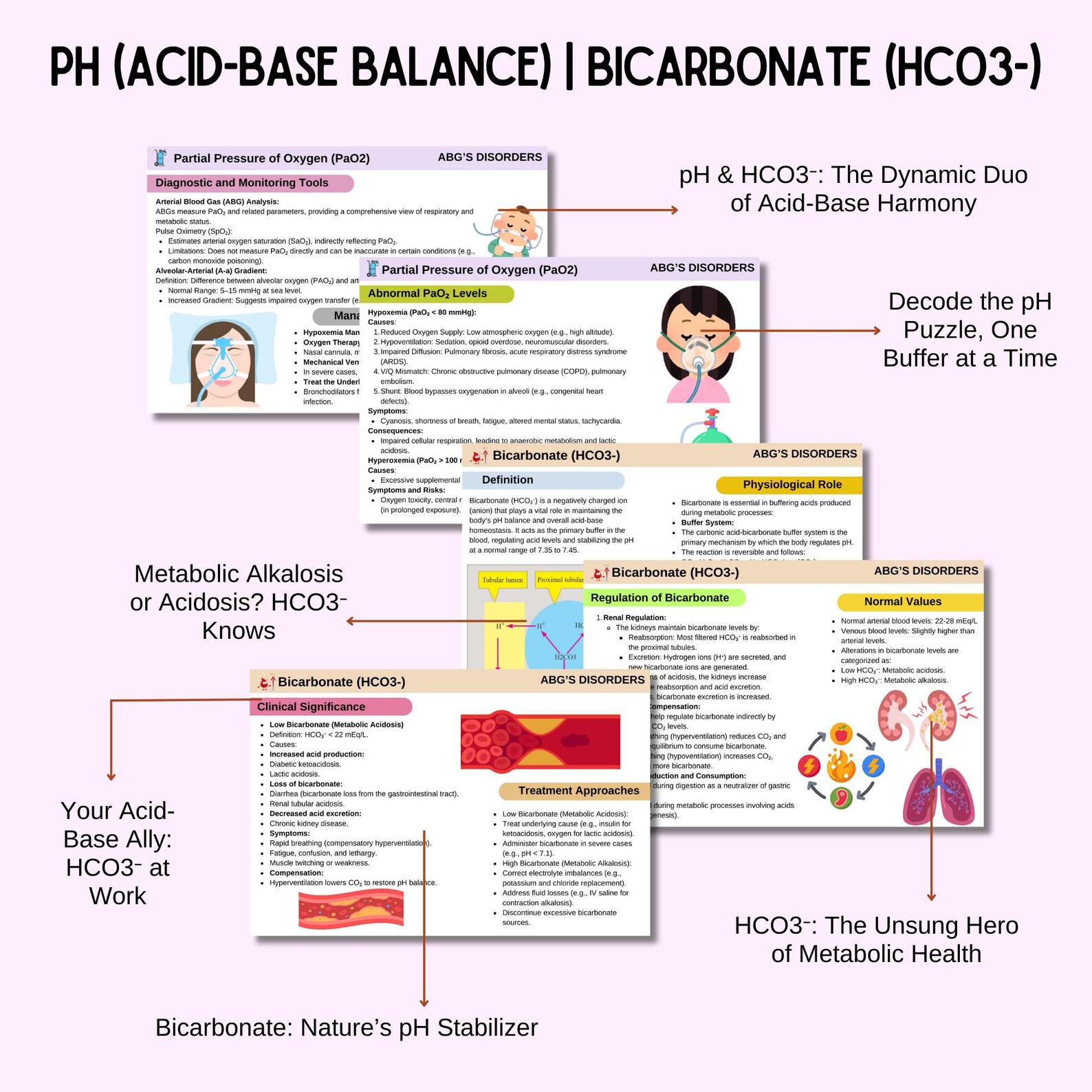 ABG Nursing Flashcards | Arterial Blood Gases | Nursing Flashcards ...