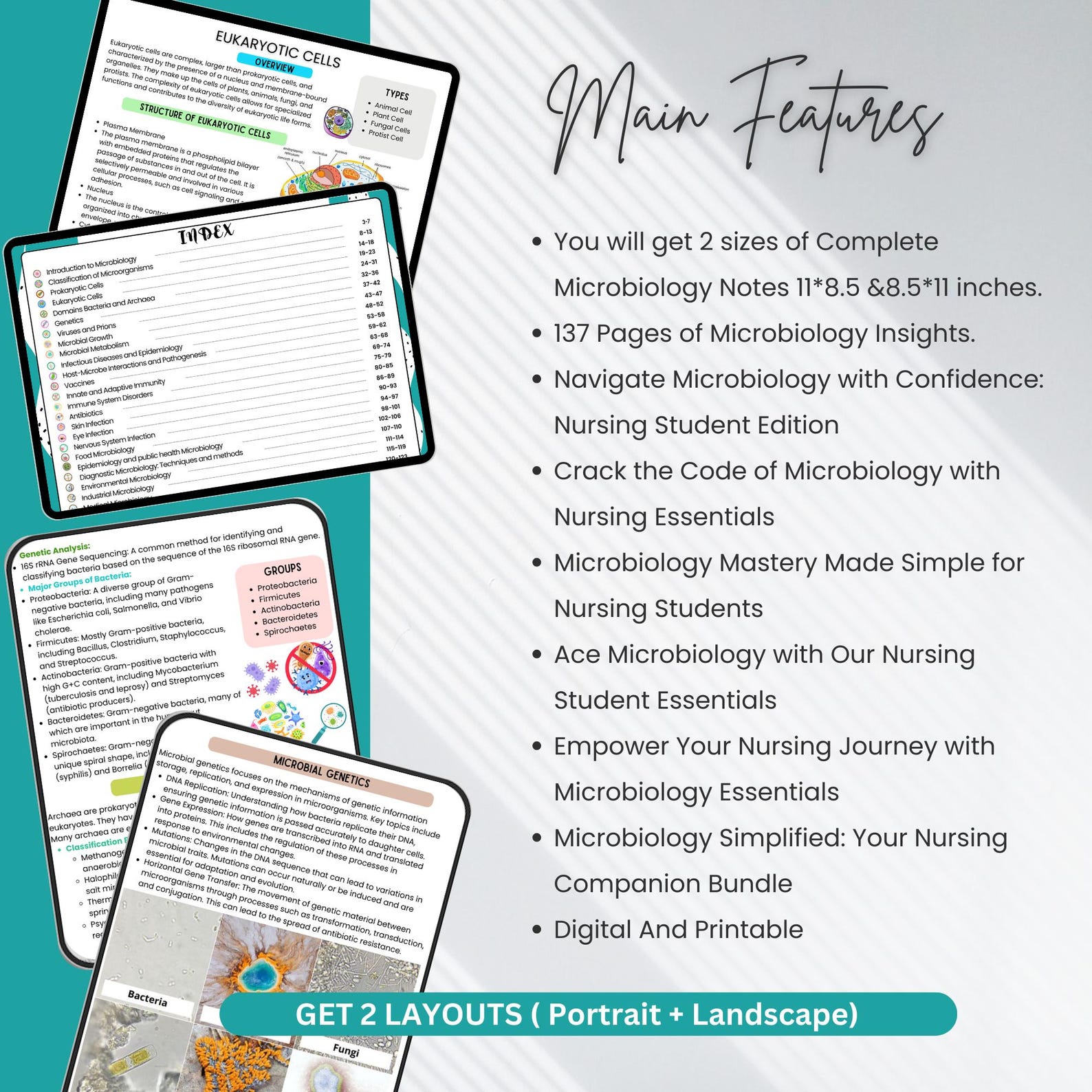 Microbiology Notes Fully Hyperlinked With Flashcards and Stickers ...