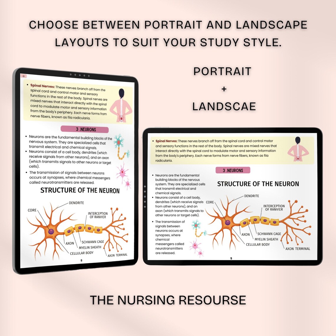 Neurology Study Guide | Neuro Anatomy | Neurological System | Brain ...