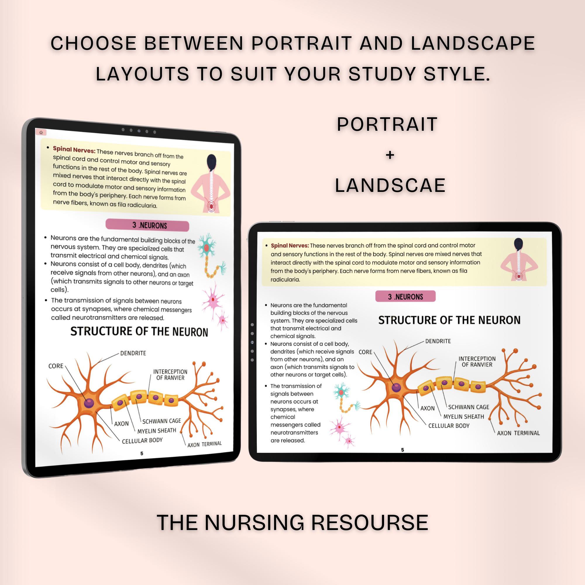 Neurology Study Guide | Neuro Anatomy | Neurological System | Brain ...