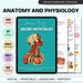 100 Pathophysiology Flashcards Pathophysiology Study Guide ...