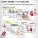 Cardiac Anatomy Flashcards | Cardiovascular System | Heart Anatomy ...