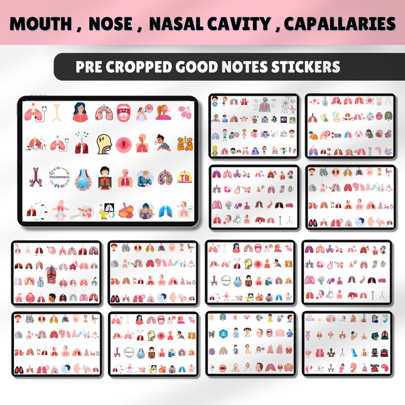 285+ Respiratory System Sticker Bundle | Goodnotes Stickers | Pre ...